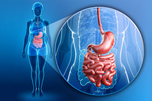 Service Gastro Entérologie Et Hépatologie Farabi Tunisie
