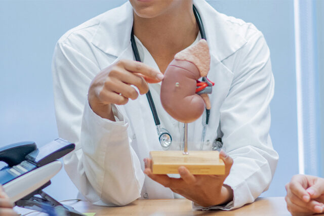 Service de néphrologie | Polyclinique AL Farabi Tunisie